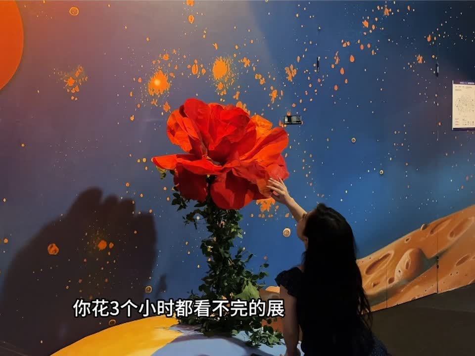 ...玩 #大英图书馆世界像素展 #暑期这里最好玩 #暑假嗨玩计划 #看展打卡