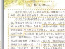 1.4页面缩放及课本定位
