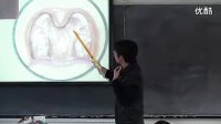 八年级 细菌和真菌在生物圈中的作用(初中生物优质课教学实录视频)(2)