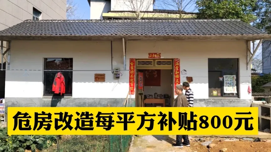 这里的政策真好!农村困难残疾人盖房子,每平方米补贴800元。