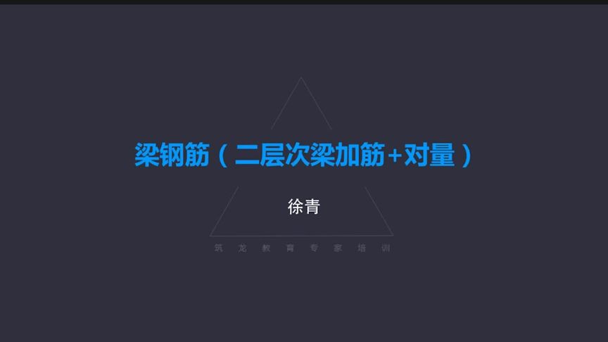 018-梁钢筋(二层次梁加筋+对量)