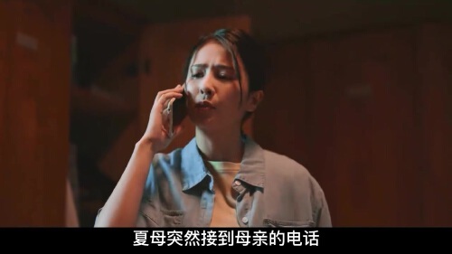 剧情片:见习警察任务重,二十四小时连轴转,家与工作两难全!