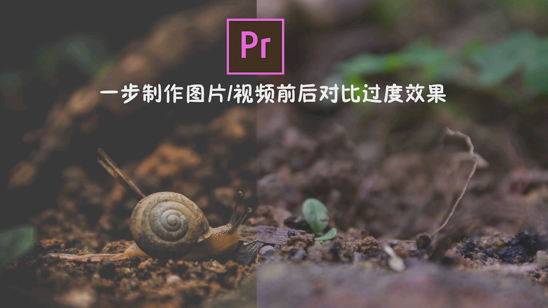 Pr一步制作图片视频前后对比过度效果【经验分享】