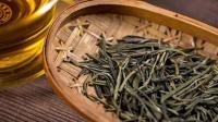苦丁茶清热解毒, 但这3种人喝它等于喝毒药, 尤其是第1种不能碰