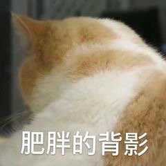 中原王小二 