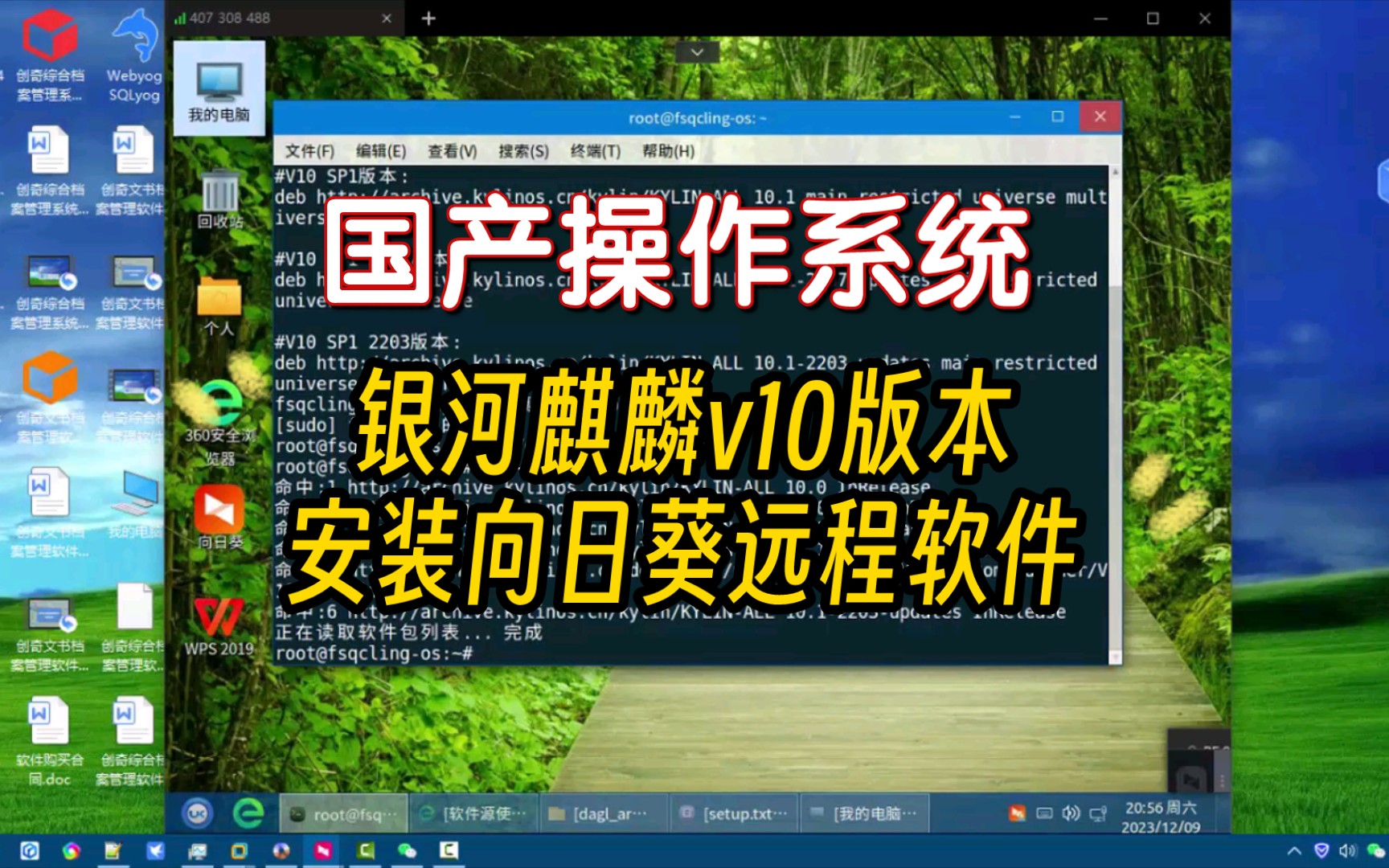 国产操作系统银河麒麟v10版本安装向日葵远程软件