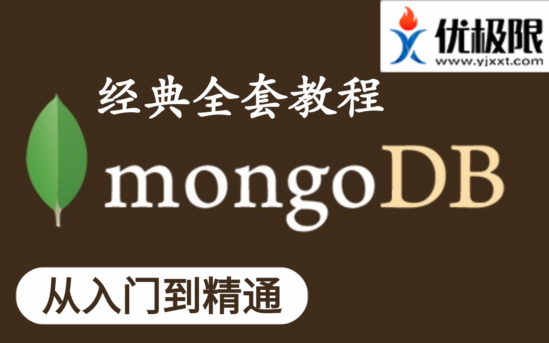 【优极限】3小时轻松带你搞定MongoDB数据库【从入门到精通】看这...