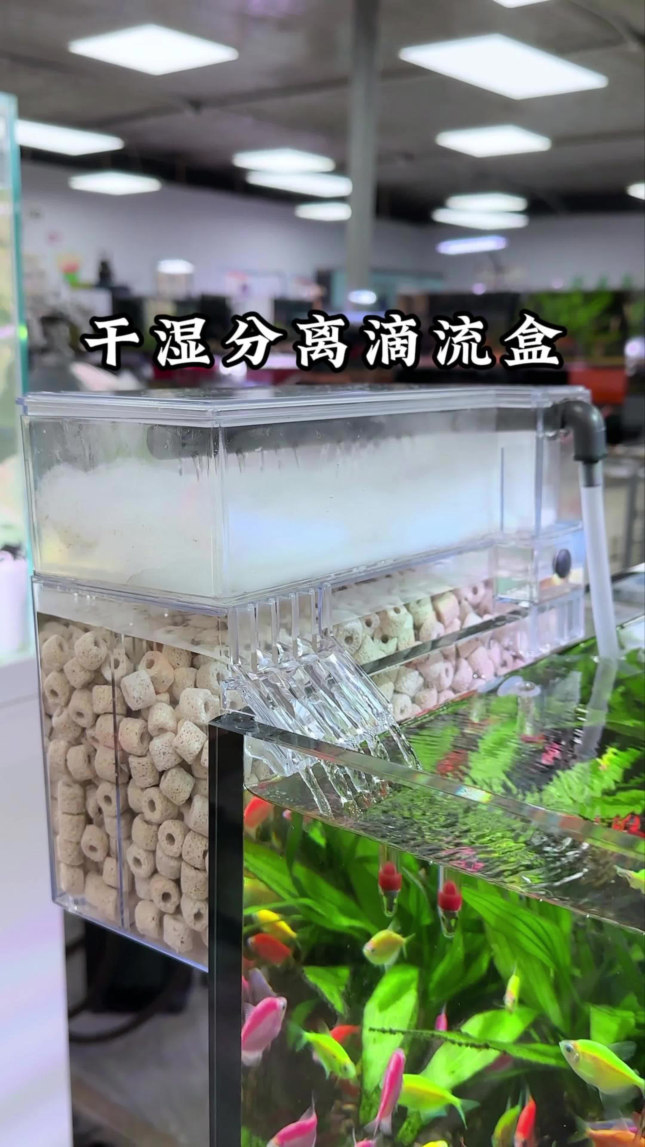发现了一个大几百干湿分离过滤器的平替#干湿分离过滤器 #鱼缸过滤...
