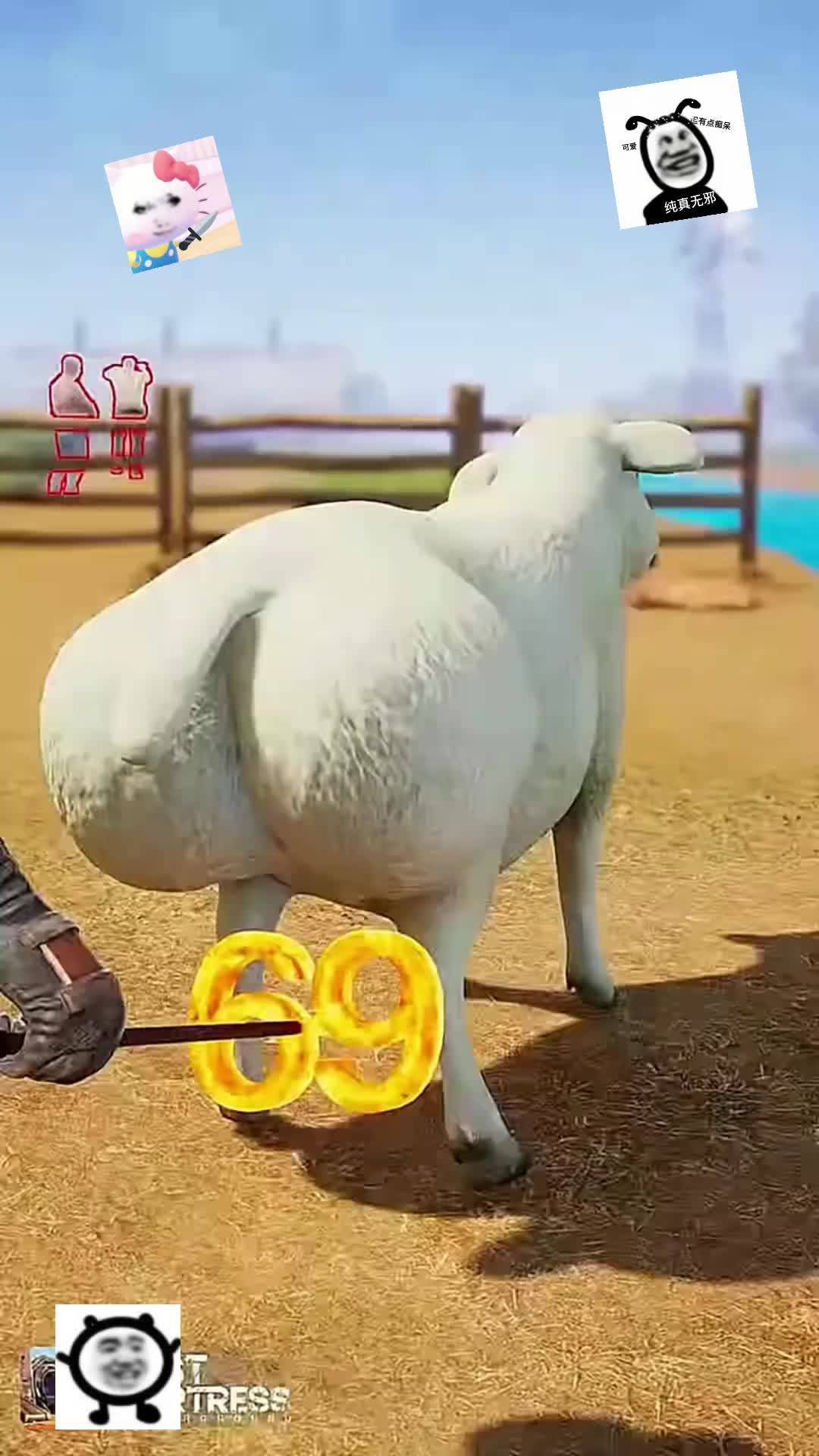 159.小羊不要动哦#沙雕动画 #热门动画 #儿童动画 #搞