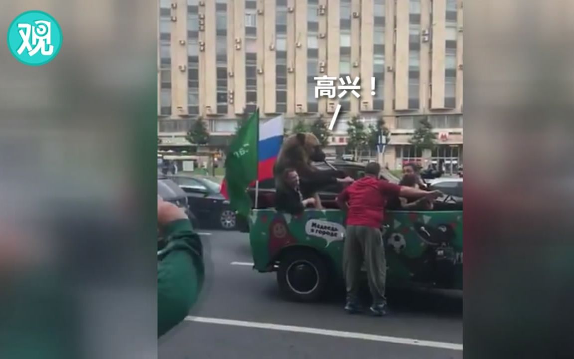 世界杯首战俄罗斯5-0大胜沙特后 球迷载狗熊上街庆祝