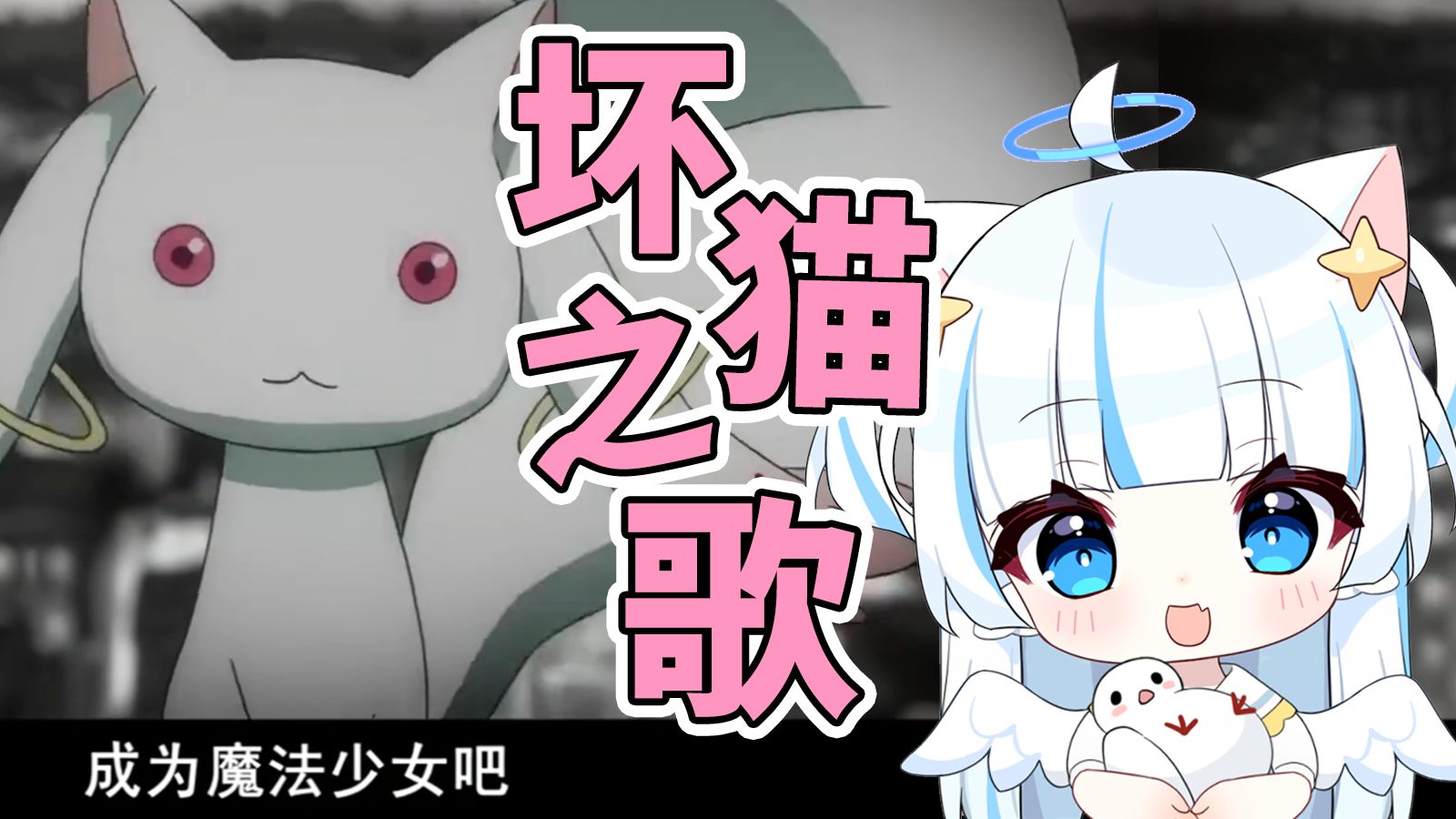 《坏猫之歌》谁说这猫坏了?!