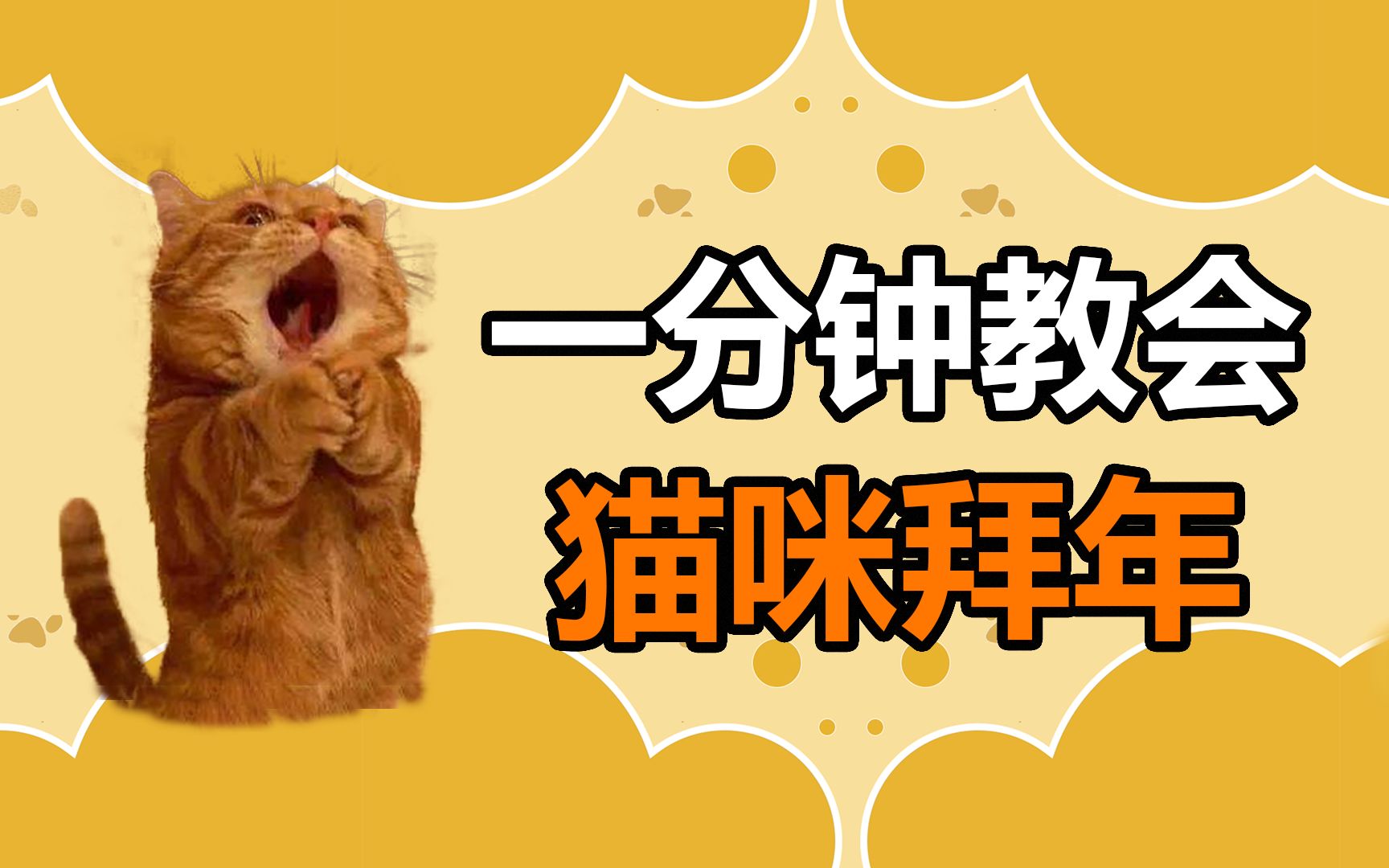 一分钟教会猫咪拜年,这不红包就来?
