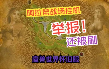 魔兽世界阿拉希战场挂机严重,举报还被刷。怀旧服WLK巫妖王之怒