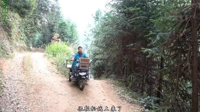 助养深山养殖,电动三轮车居然还能越野!