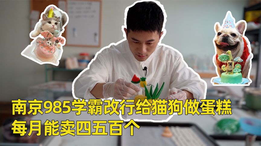 南京985名校学霸改行当宠物营养师,给猫狗做蛋糕,月销四五百个