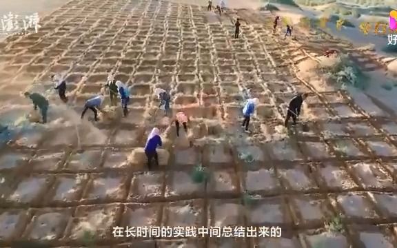 草方格治沙,让沙漠和绿洲“握手",草方格--防沙固沙治沙