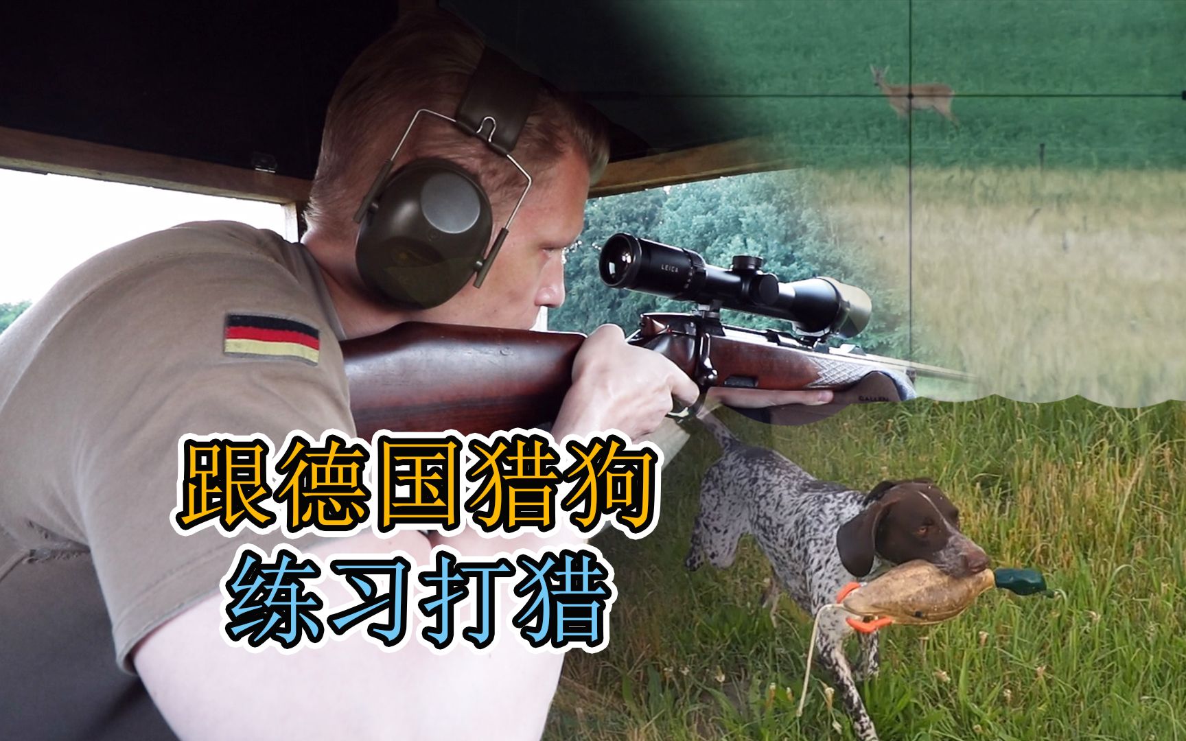 多才多艺的狗!德国人怎么跟猎狗练习打猎?