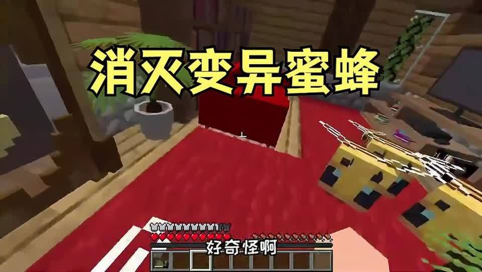 我的世界:村庄遭遇变异蜜蜂攻击!