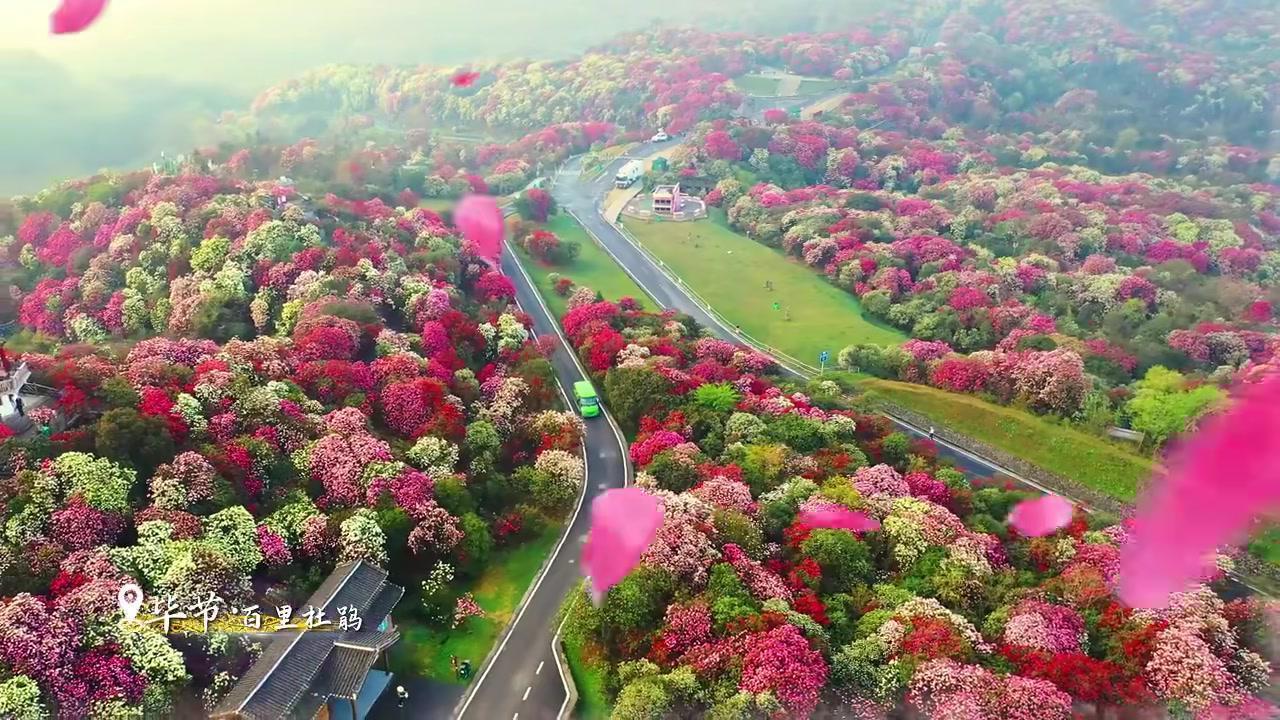 您有一封来自贵州的春日情书,山川、花海、诗情、画意均为落款。...