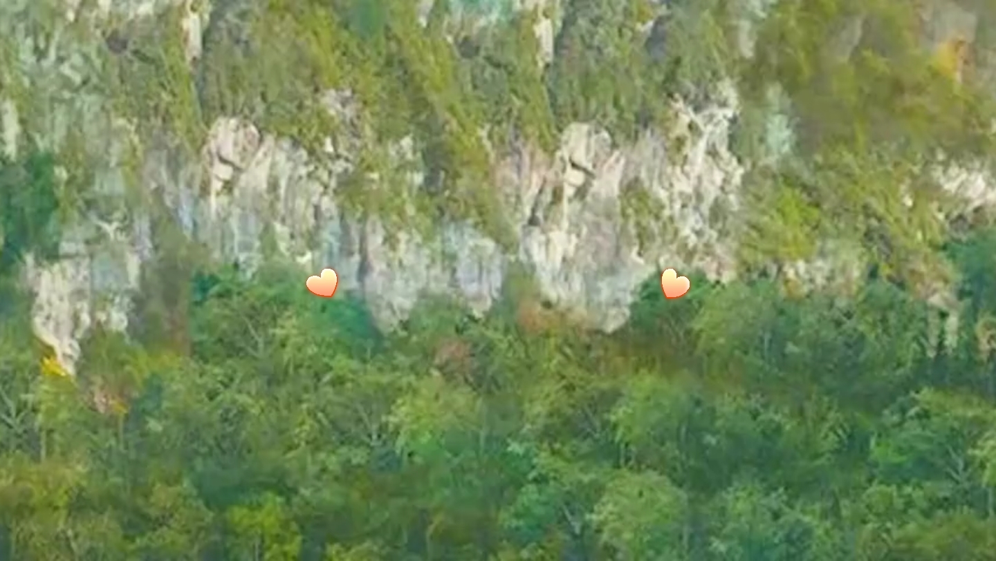 UP带你前线吃瓜:12023科幻灾难大片种群核污水排入大海 导致海里...