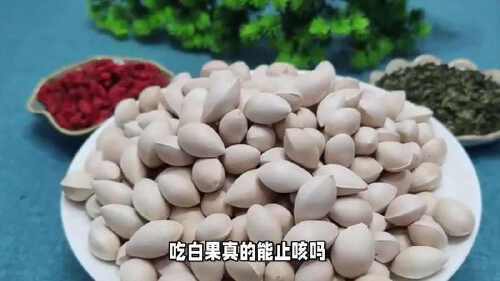 银杏果隐藏的惊人功效!不止止咳化痰,这些主治作用你知道吗?