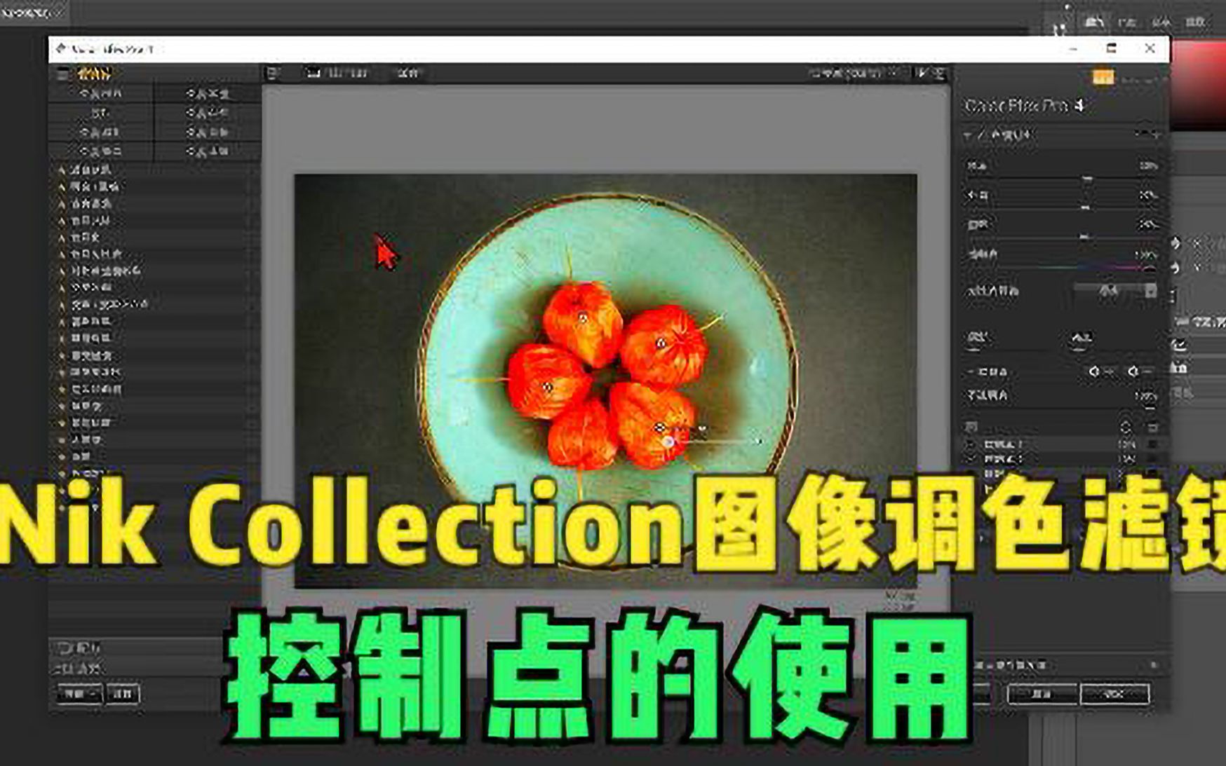 ps滤镜,Nik Collection图像调色滤镜,控制点的使用