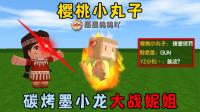 三毛迷你世界游戏日常 第255集 迷你世界:樱桃小丸子,墨墨小钊嘲讽妮...