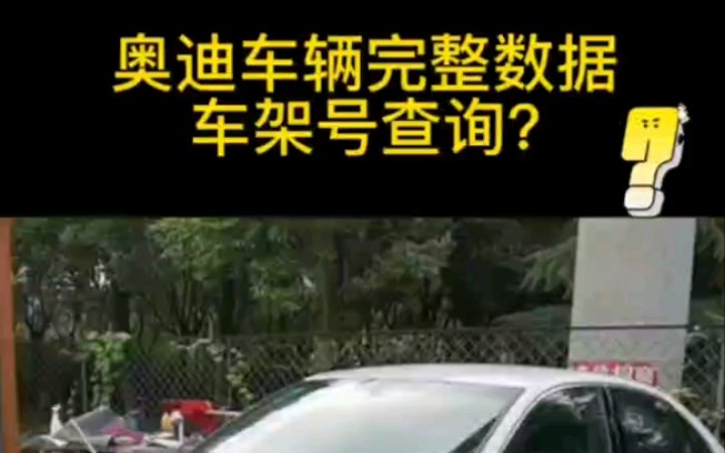 奥迪车辆完整数据车架号查询?