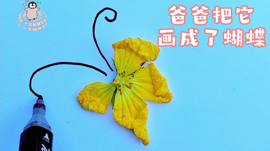 一朵花画出了翩翩起舞的蝴蝶 蝴蝶简笔画 动物简笔画教程