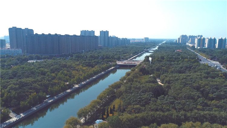 42秒丨滨州市滨城区:打造“精品”林水工程 让城市拥抱森林