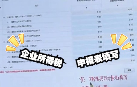 企业所得税审报表的填写方式