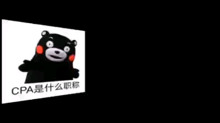 什么是CPA注册会计师,我给大家讲讲