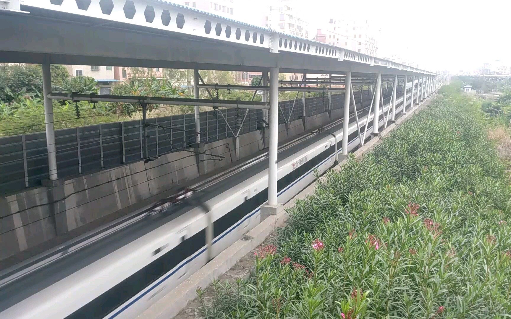 【武广高铁摄影】G6002次列车(深圳北站～长沙南站)配属广州南动车...