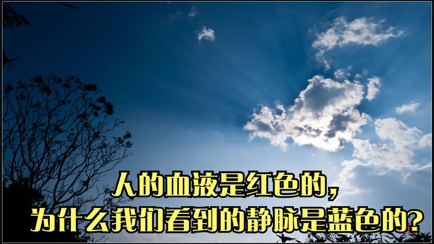 人的血液是红色的,为什么我们看到的静脉是蓝色的?