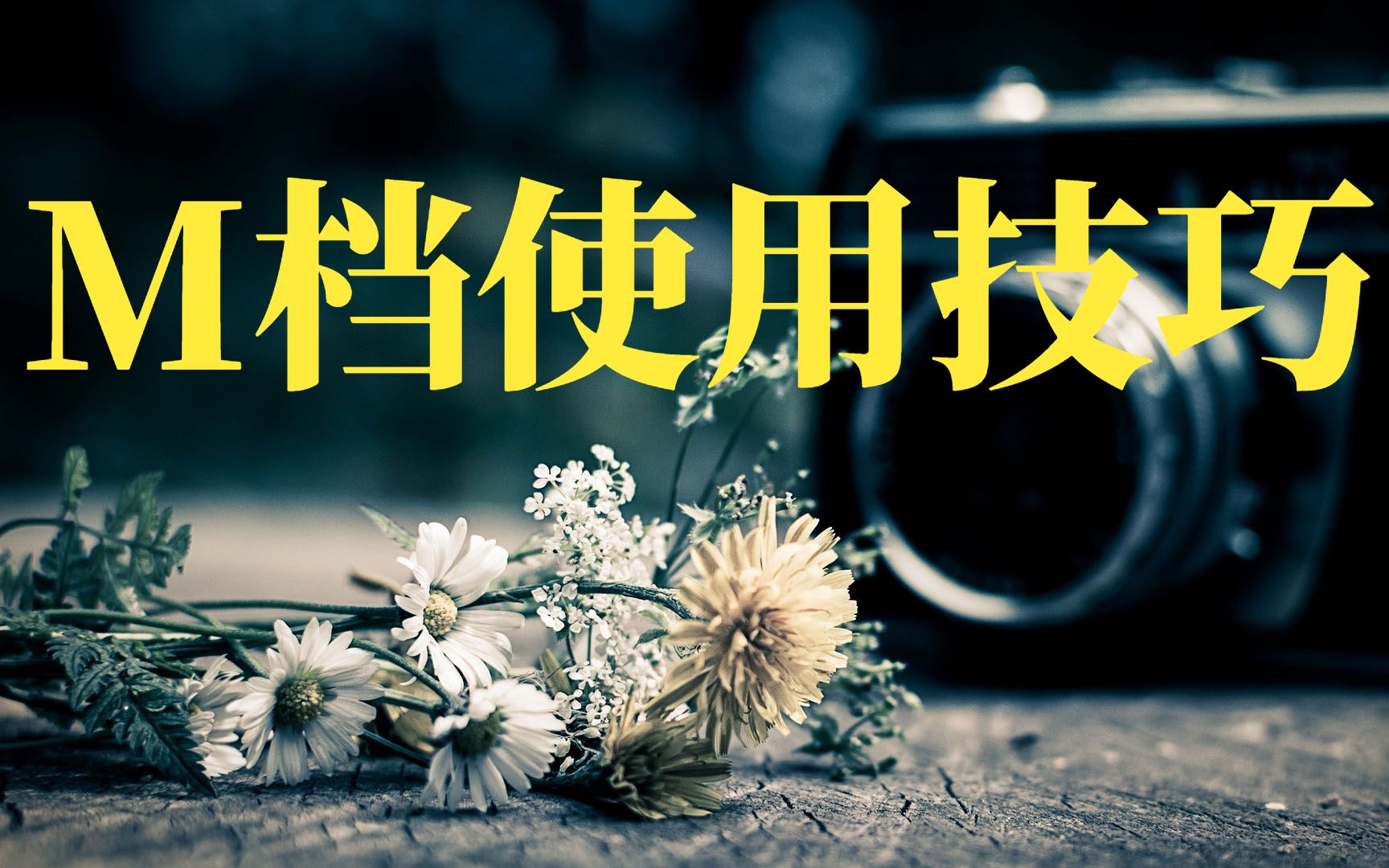 【摄影入门】单反相机M档教程,使用技巧与设置详解!