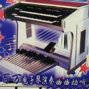 金碟豹电子琴演奏 