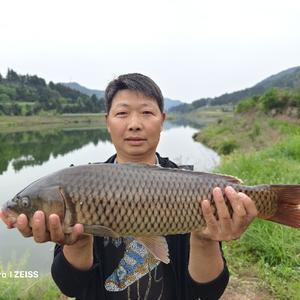 爱钓鱼的杨仔 