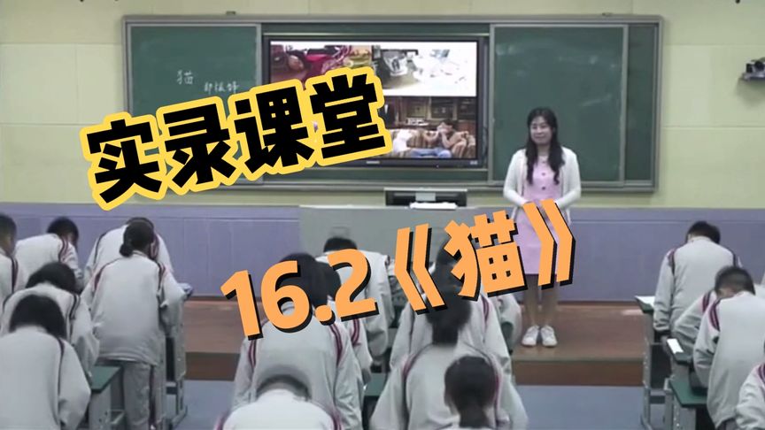 实录课堂•初一语文上•16.2《猫》