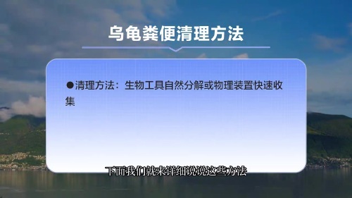 养什么可以清理乌龟粪便