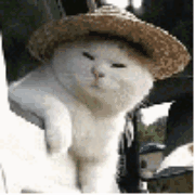 衔灬蝉 