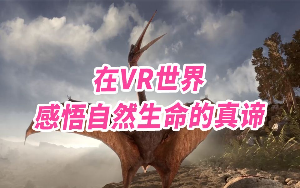 用VR感受动物世界,在虚拟世界感悟自然生命的真谛
