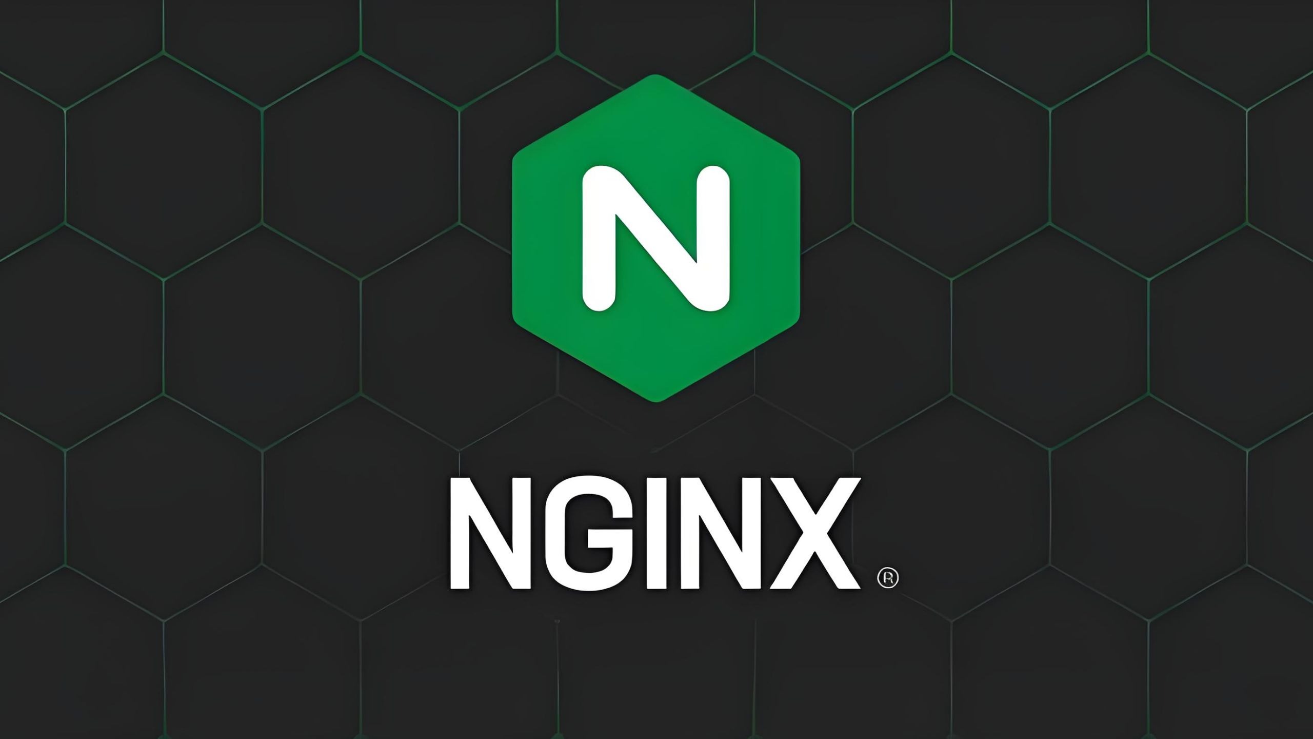 30-基本使用-URLRewrite 伪静态配置