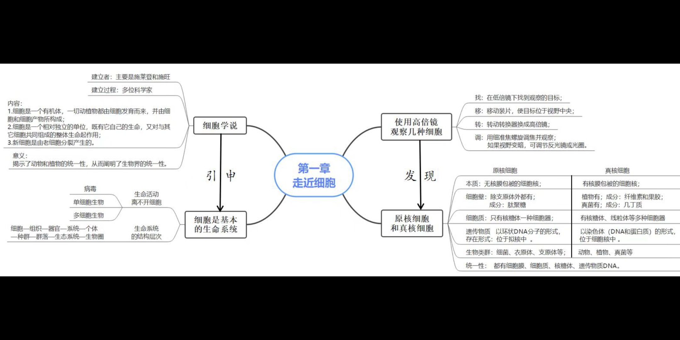 生物必修一 分子与细胞第一章走近细胞思维导图