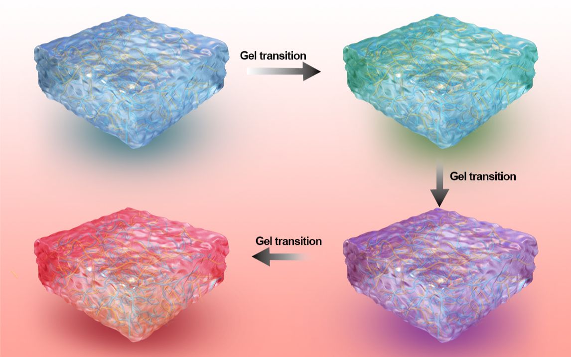 科研绘图精美的示意图流程图教程-水凝胶制作方法 科画-西西智研