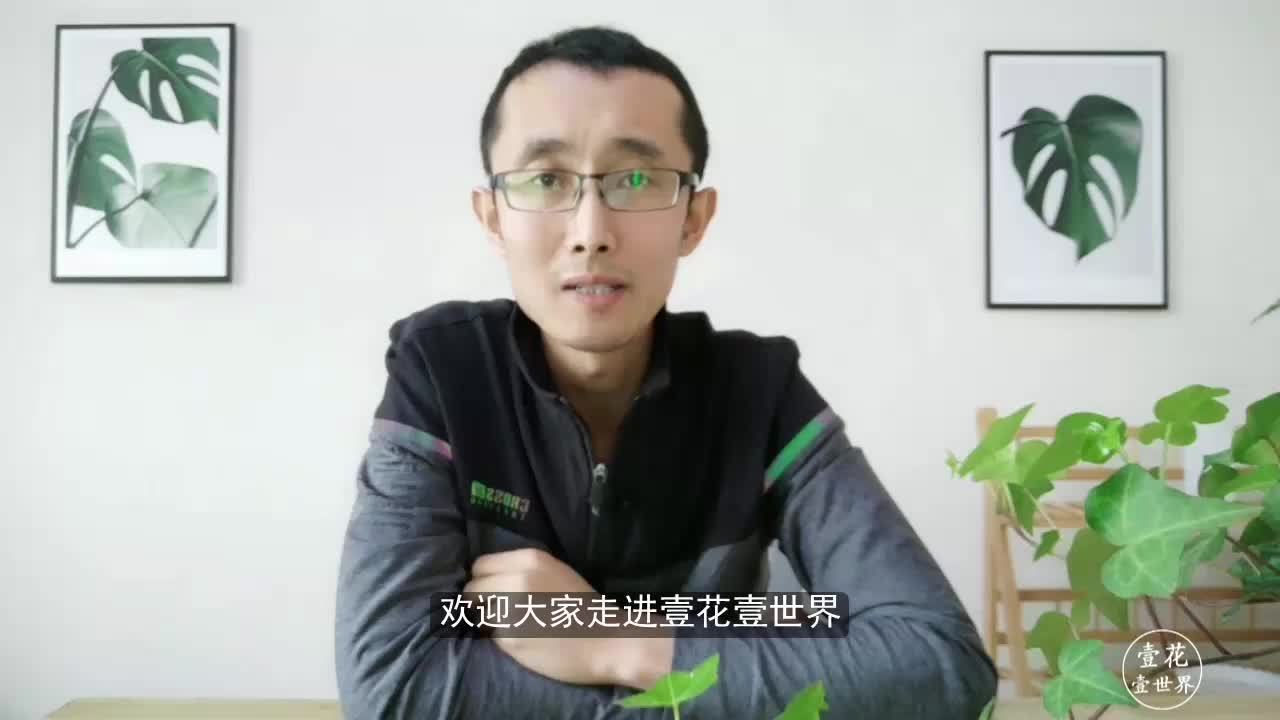 3分钟学会施肥,深入了解氮磷钾,花卉才能蹭蹭的长