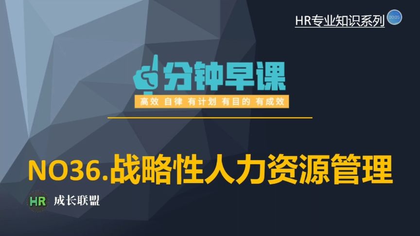 #人力资源管理专业课 No36.战略性人力资源管理