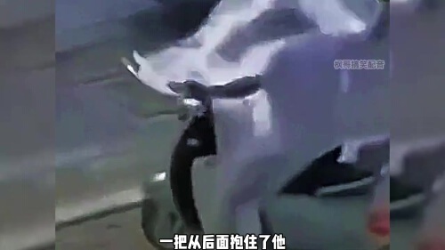 真自动售货机 这么懂事的风你见过吗