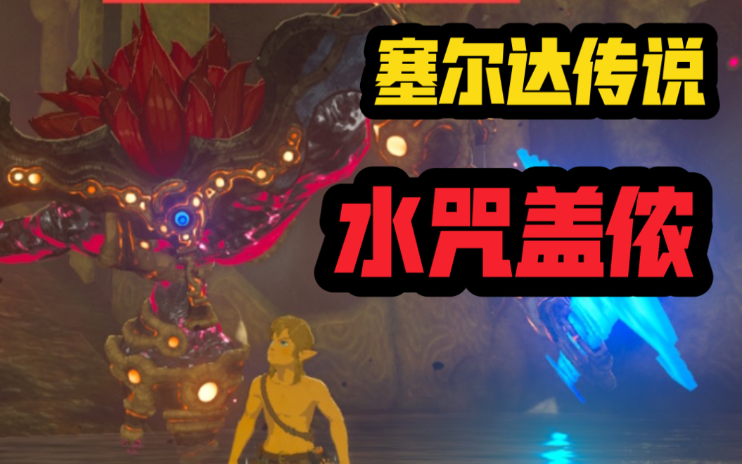 「塞尔达传说」水神兽·水咒盖侬 BOSS打法_哔哩哔哩bilibili_塞尔达传说_教学