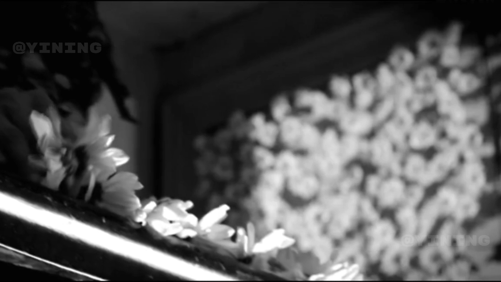 《血仆》吸血鬼×人类 [BounPrem]