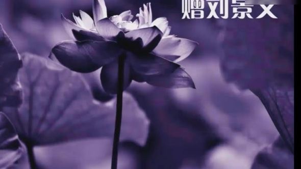 部编版三年级语文上册《赠刘景文》动画朗读